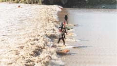 Five star spring whopper forecast for March | theforestreview.co.uk