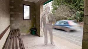 The haunted bus stop... | theforestreview.co.uk