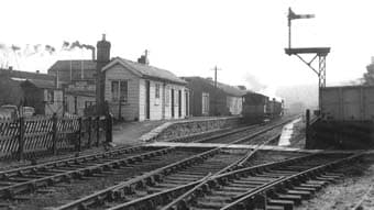 Stopping at...Whitecroft! | theforestreview.co.uk