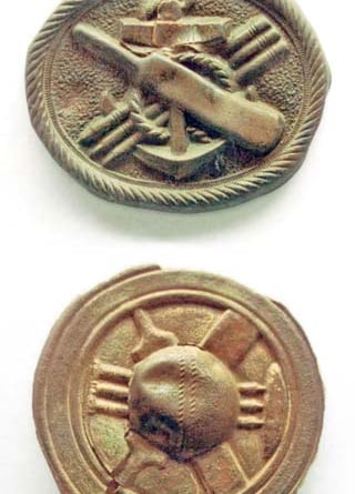 Cricket mystery solved | theforestreview.co.uk