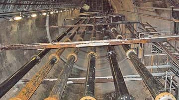 Snap away for chance of unforgettable visit | theforestreview.co.uk