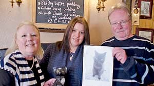 What’s it all about? Alfie! | theforestreview.co.uk