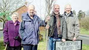 The beech is back | theforestreview.co.uk