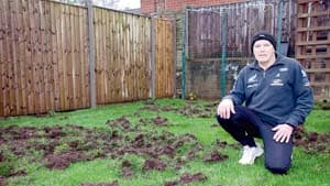 Boar damage ‘scandalous’ | theforestreview.co.uk