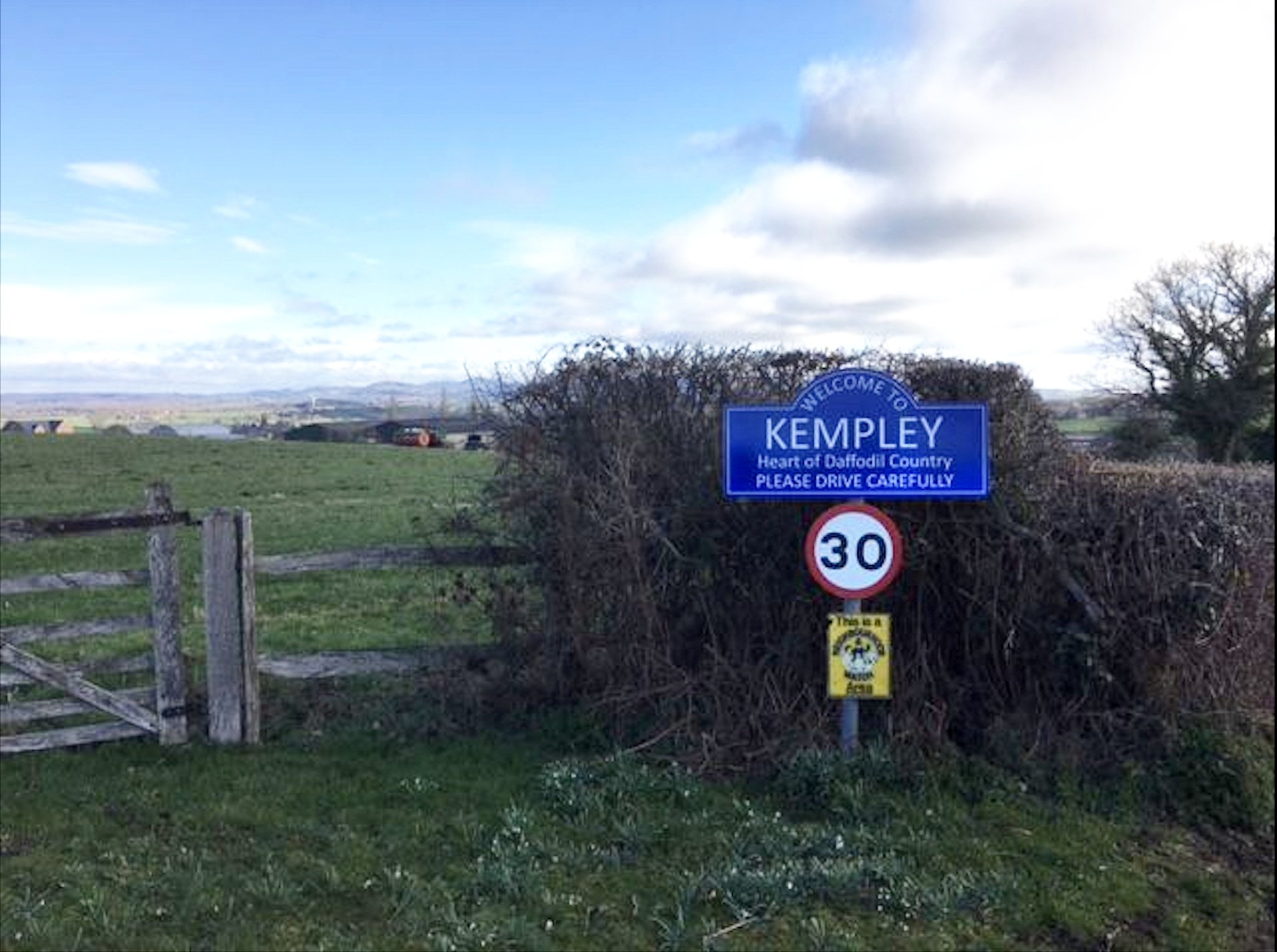 New signage points the way to the daffodils in Kempley ...