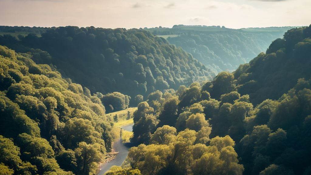 Dave Kent on the Forest and Wye Valley's 'thriving' arts scene ...