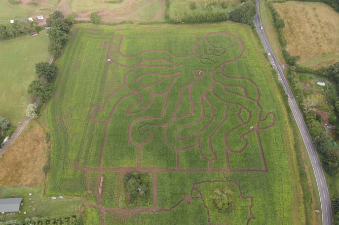 A-maze-ing octopus and coral reef crop up at Elton Giant Mazes ...