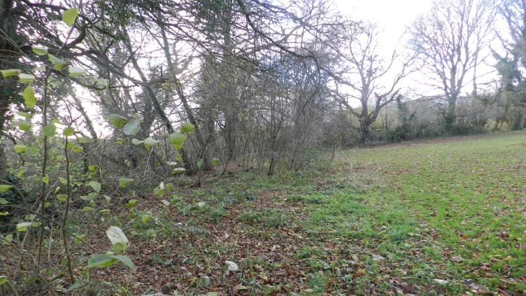 Angus Buchanan Recreation Ground in Coleford set for £50,000 revamp ...