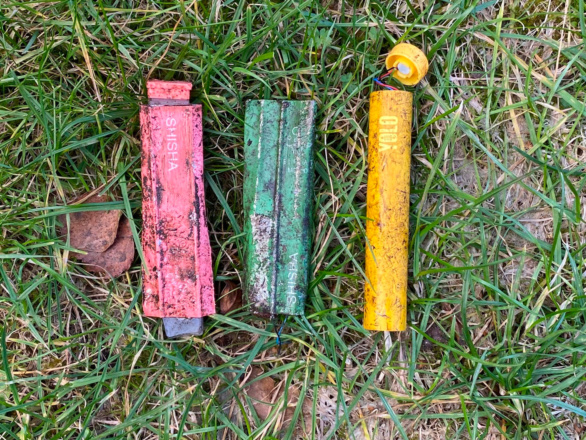 Binfluencer Sandra donates Litterlotto winnings | theforestreview.co.uk