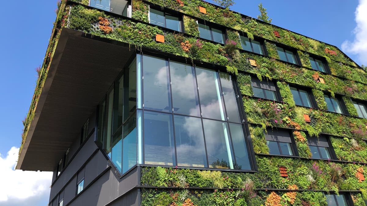 UK demand for sustainable green buildings on the rise, report reveals ...