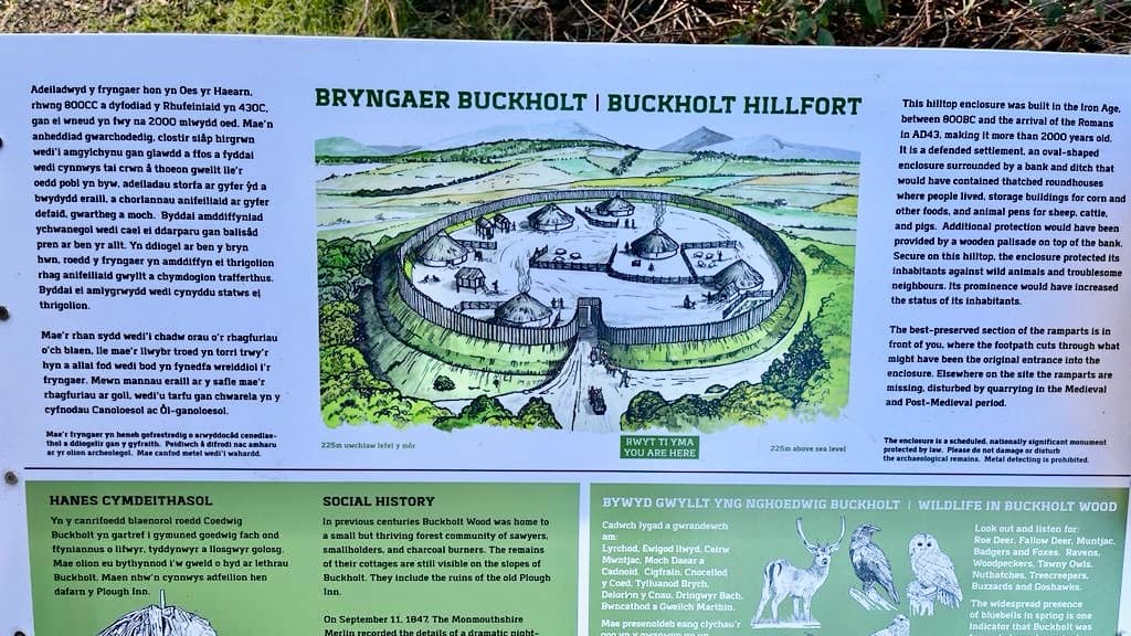 Volunteers set to dig in to woodland history | theforestreview.co.uk