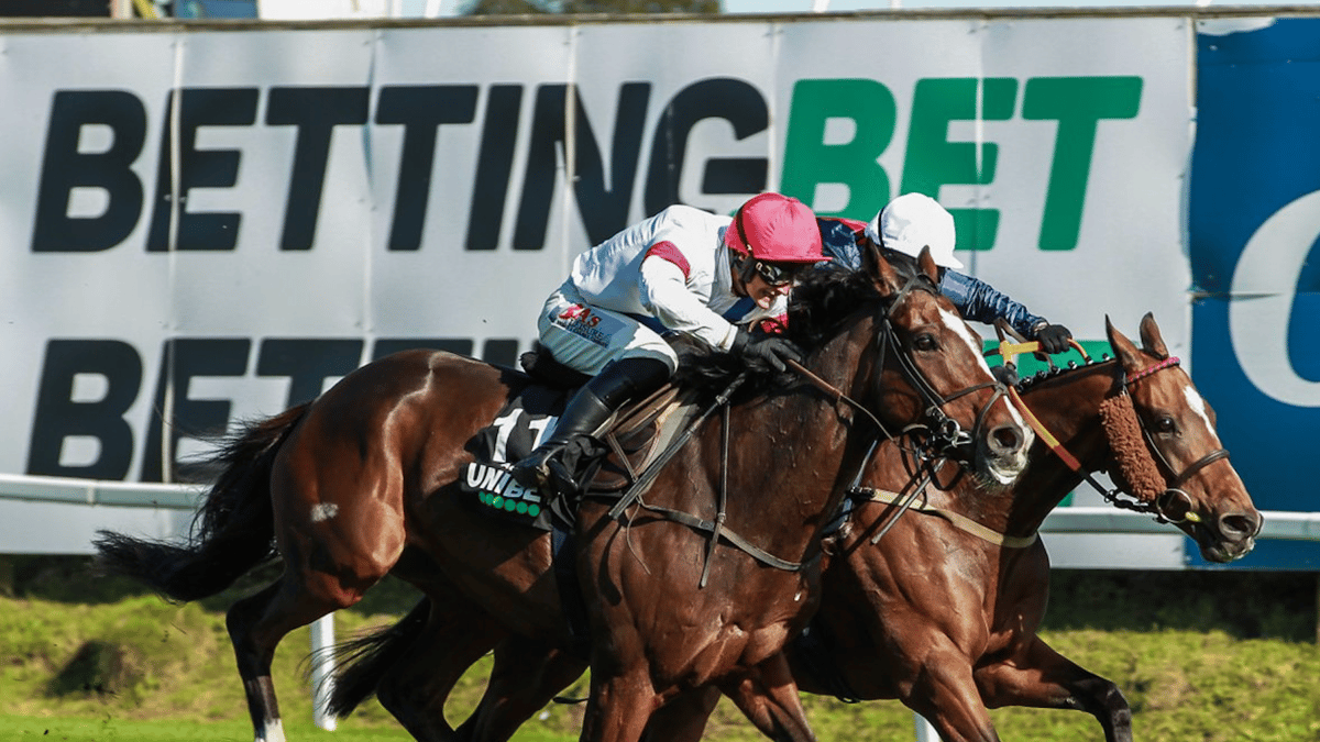 Tudor takes Welsh Jump Jockeys Derby | theforestreview.co.uk