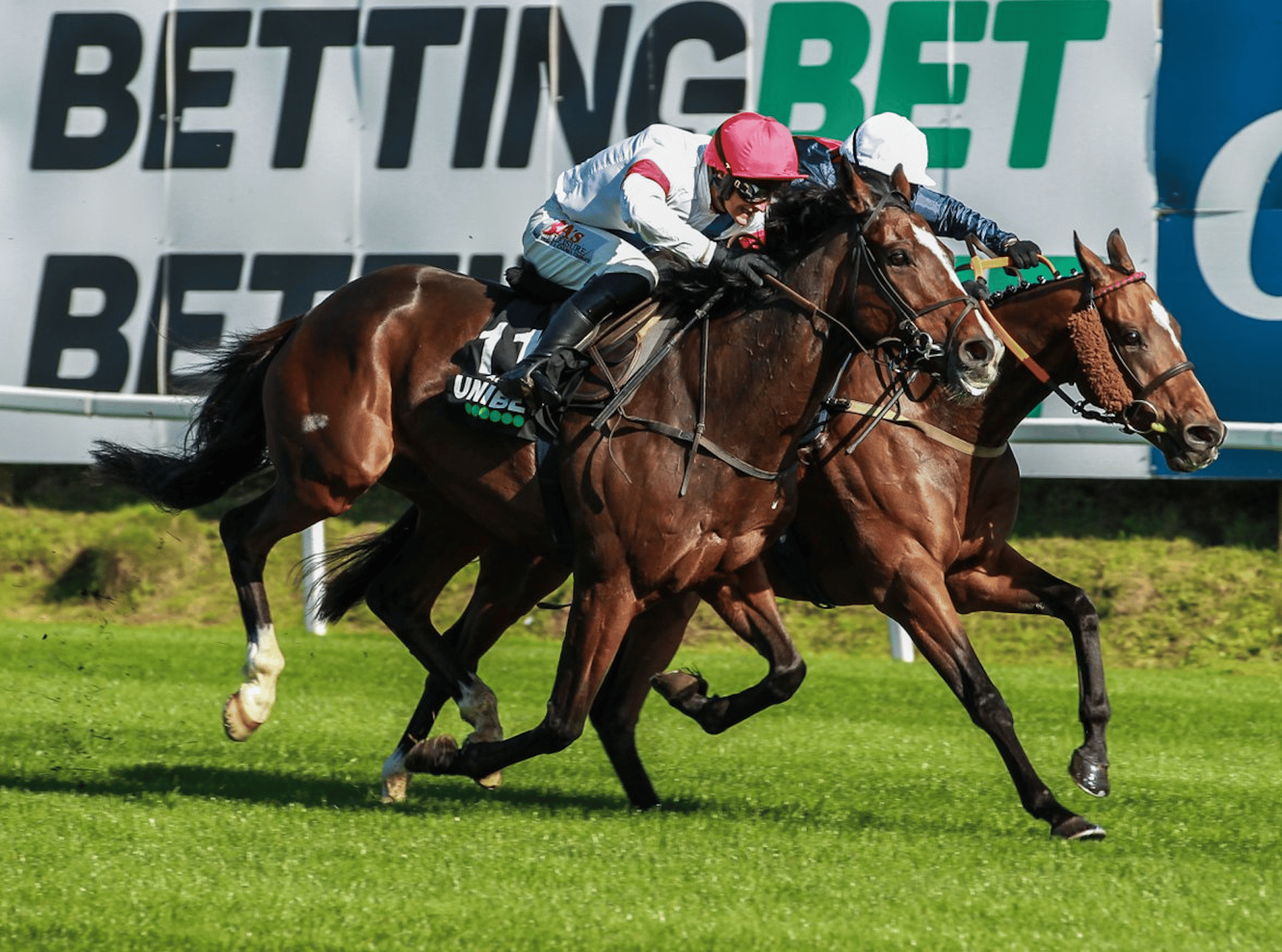 Tudor takes Welsh Jump Jockeys Derby | theforestreview.co.uk