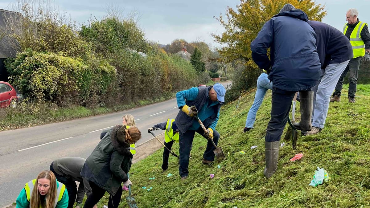 Dymock Daffodil Weekend starts Golden March festival | theforestreview ...