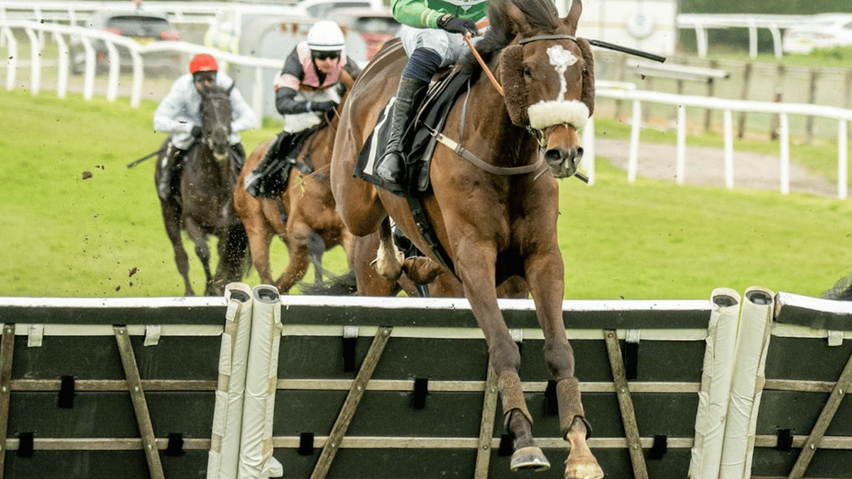Lacey lands two more winners over jumps | theforestreview.co.uk
