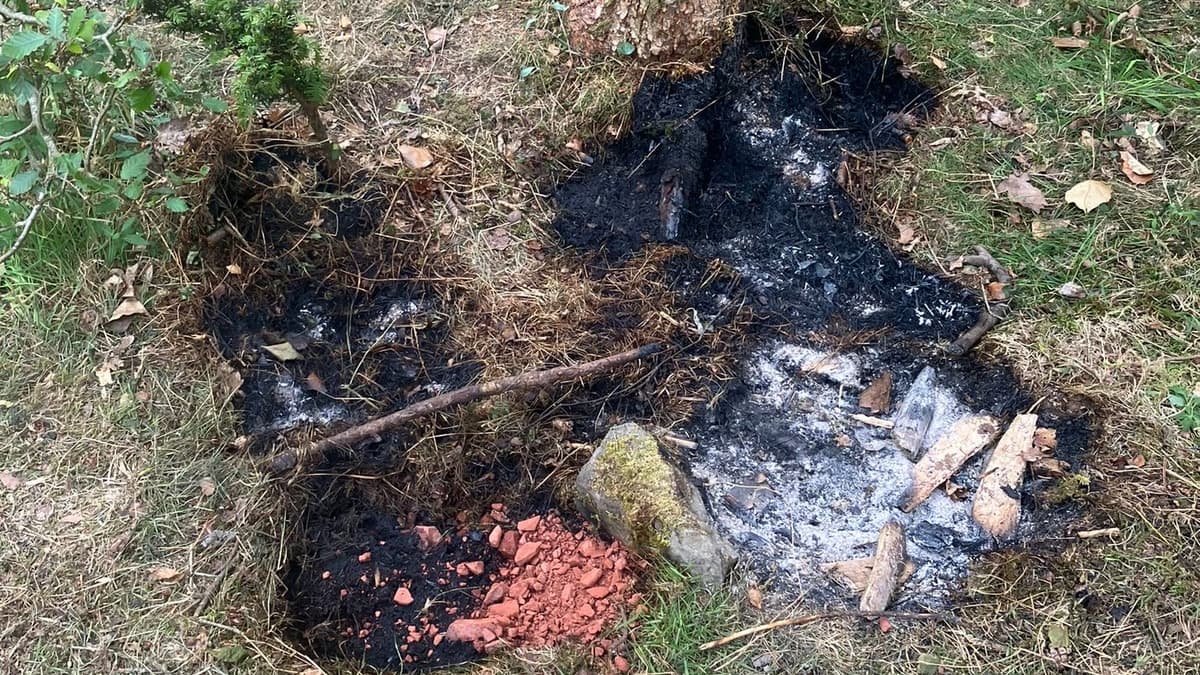 Forestry England warns Forest of Dean on wildfire risks ...