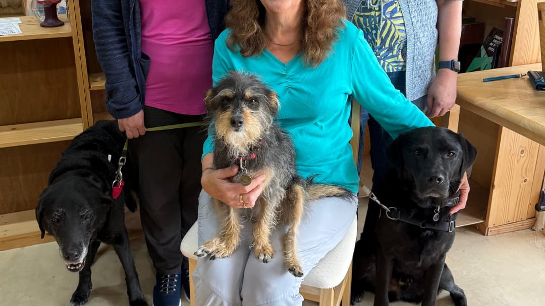 Tintern bookshop Stella and Roses calls for local support to save high ...